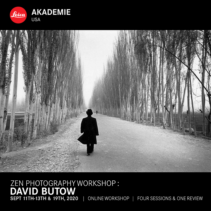 david butow photographer